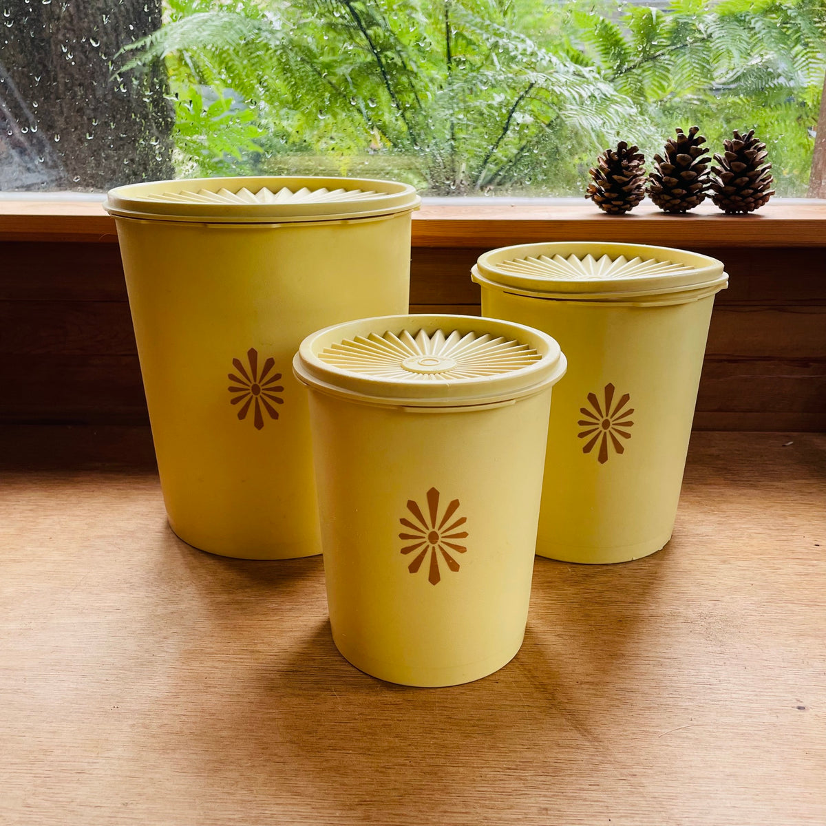 Harvest Yellow Sunburst Tupperware Canister Set | Pineandbear – pineandbear