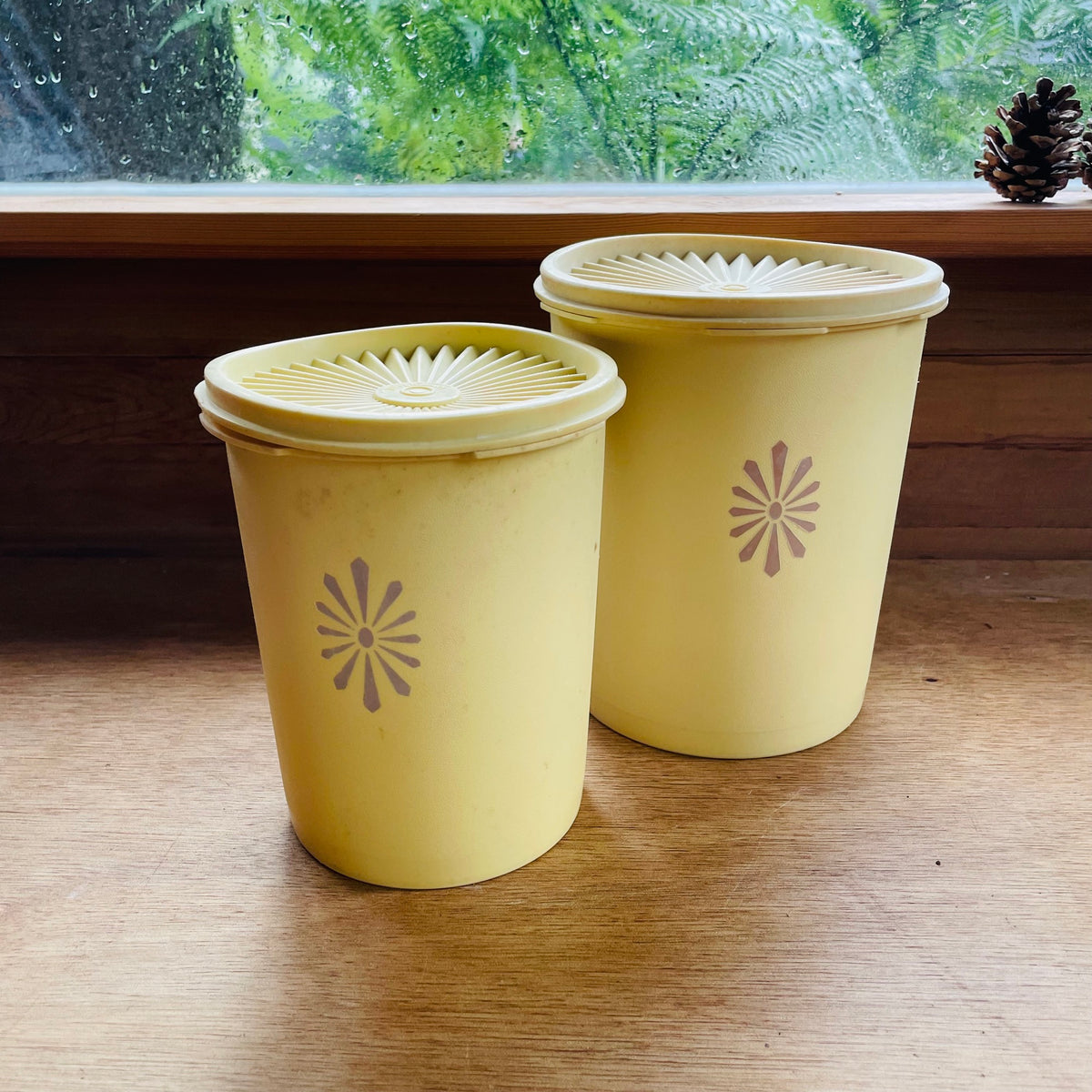 Harvest Yellow Sunburst Tupperware Canister Set | Pineandbear – pineandbear