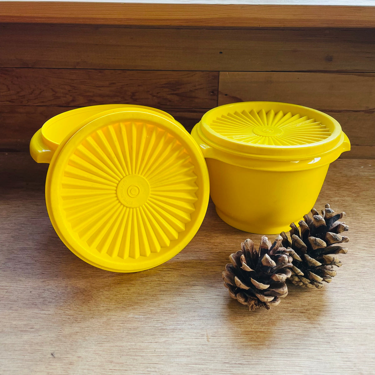 Yellow Vintage Tupperware Container – pineandbear