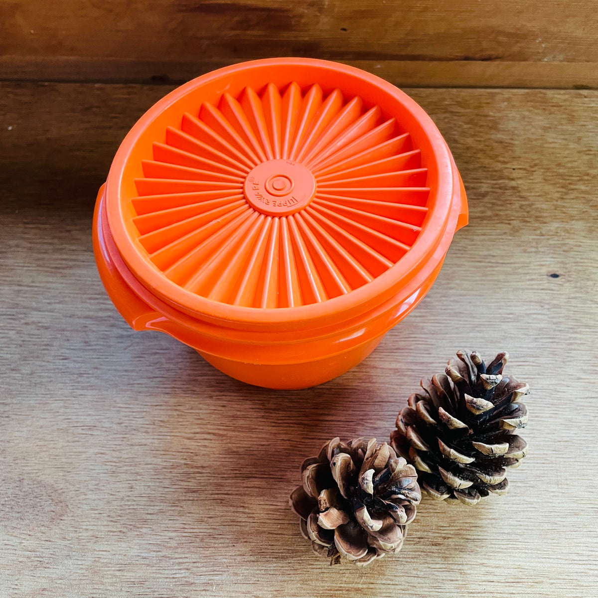 Orange Vintage Tupperware Container – pineandbear